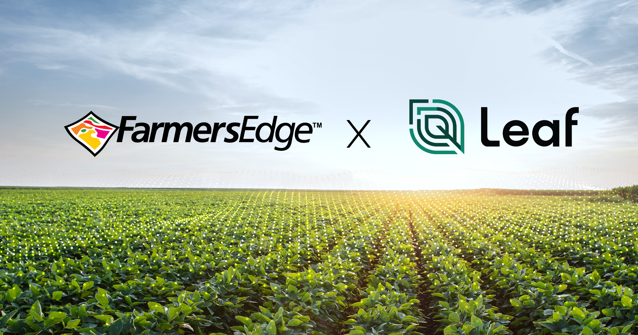 Farmers Edge and Leaf Agriculture Partner to Expand Data Access to Farmers Through Unified API ...